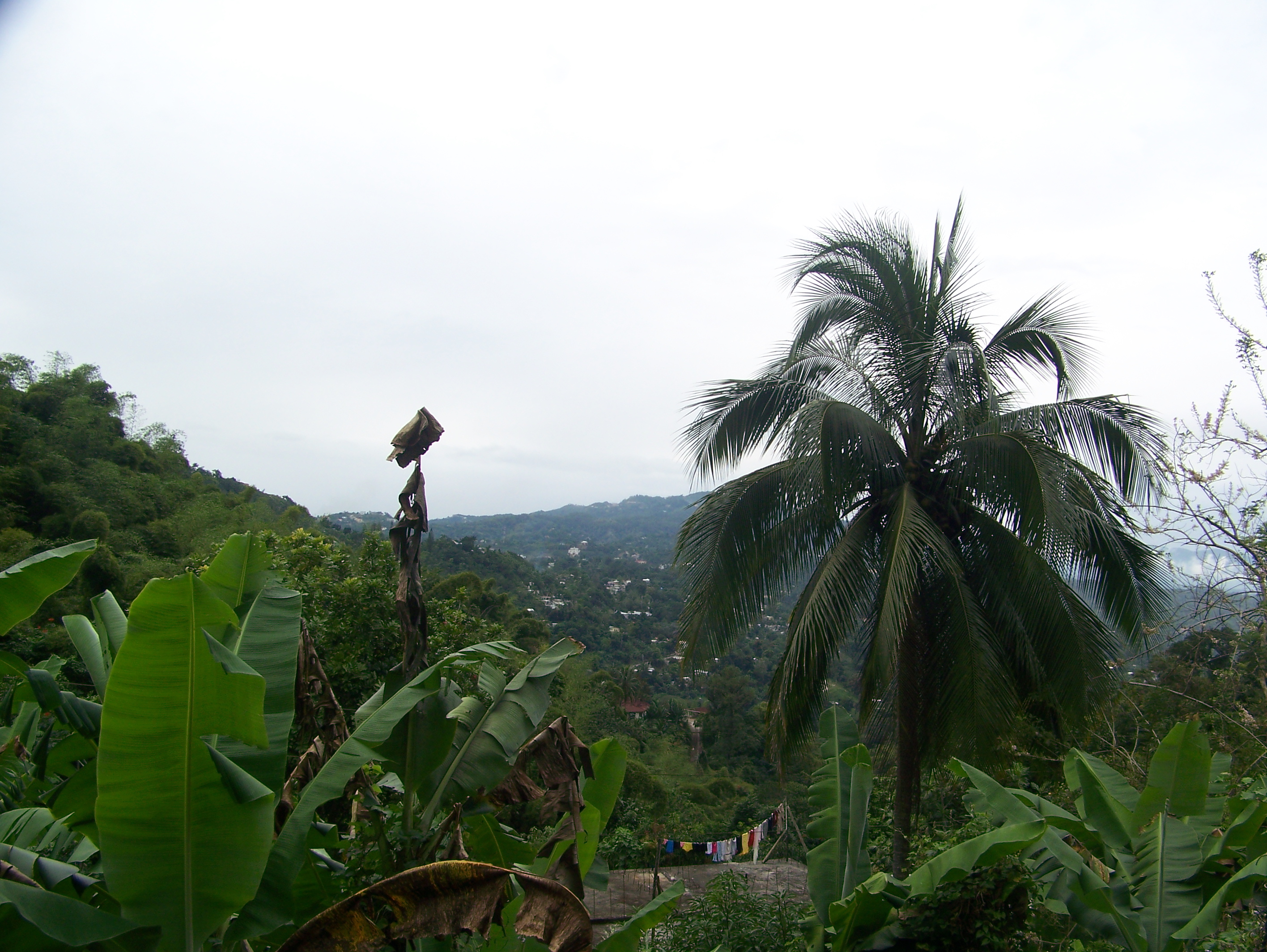 Struan Castle hike | Jamaican Journal