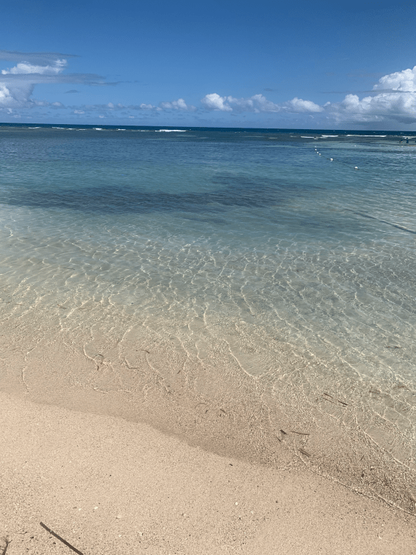 Jamaican Journal | I am a writer, reporter and photographer in ...